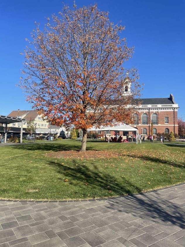 Needham Town Common Grand Reopening and Dedication | BETA Group