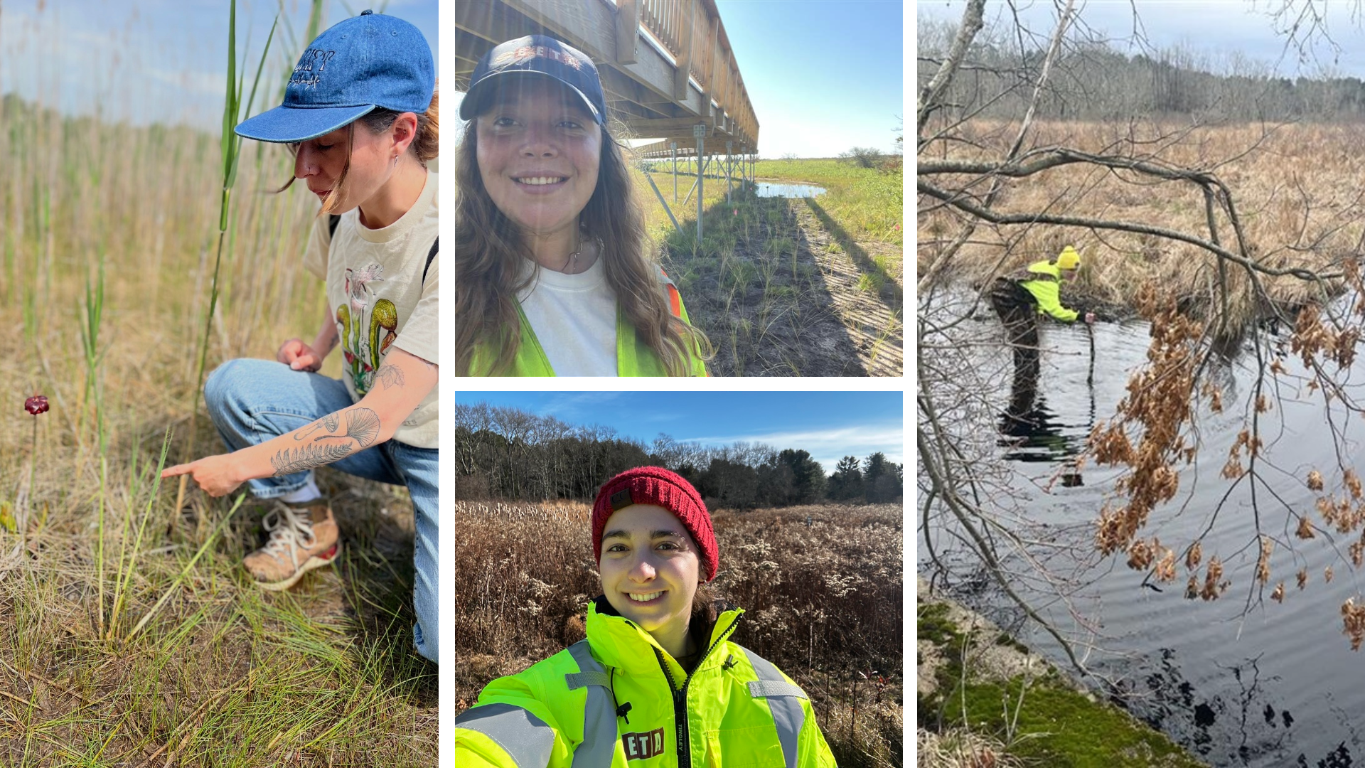International Day of Women & Girls in Science | BETA Group
